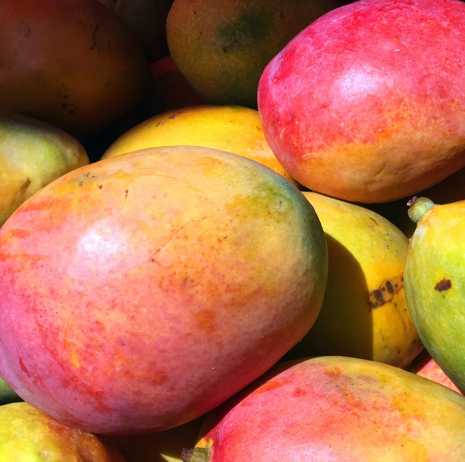 Парфюмна лукс композиция Mango за козметика и свещи 50 ml - Ekomama